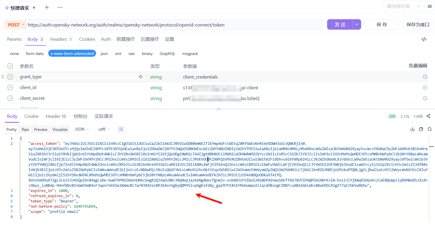如何获取 OpenSky 空中交通数据 API 密钥(分步指南) - 幂简集成